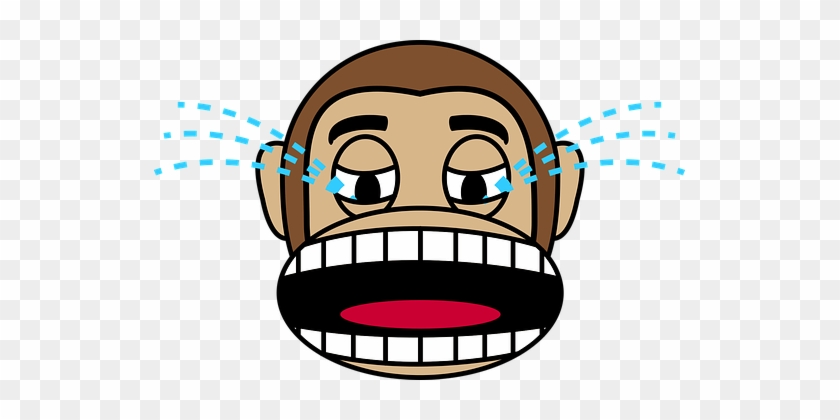 Face, Loud Crying, Monkey - Imagenes De Mono Llorando - Full Size PNG ...