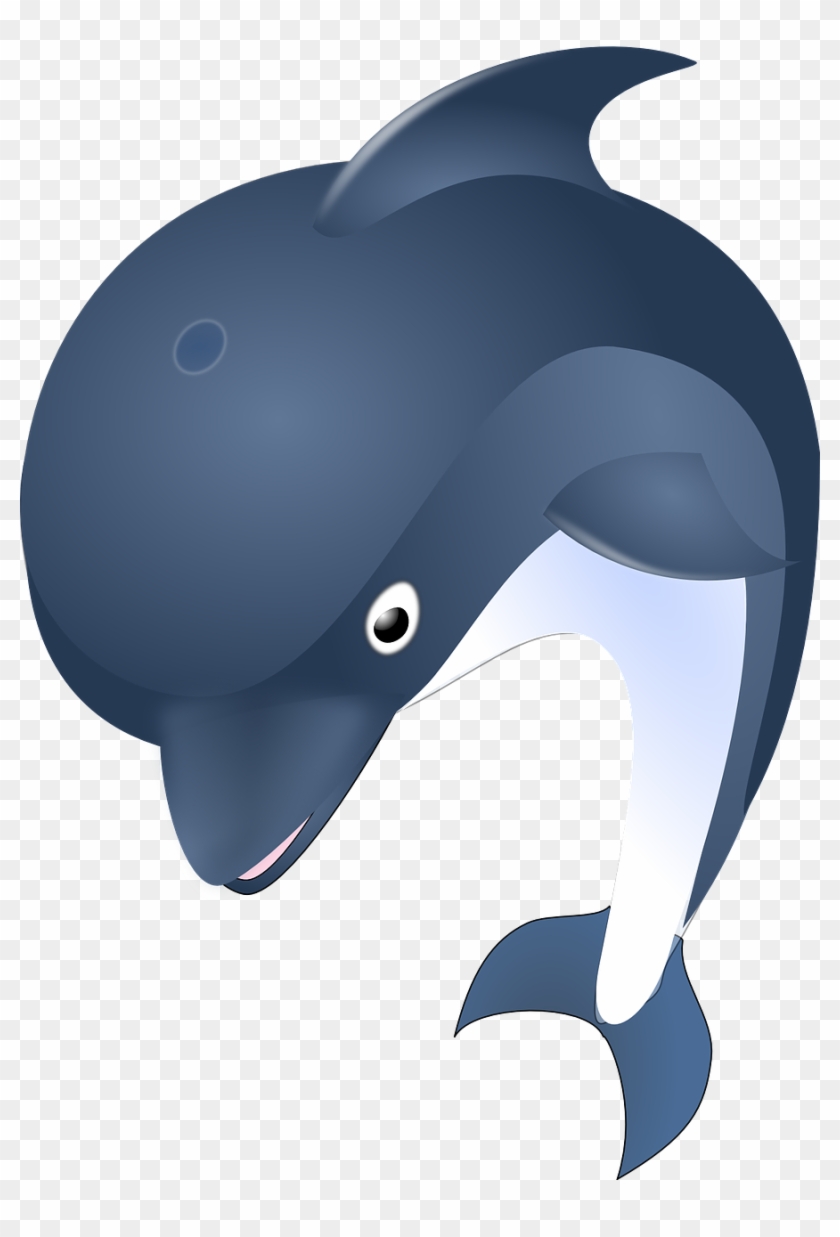 Dolphin Free Png Transparent Background Images Free - Dolphin Clipart ...