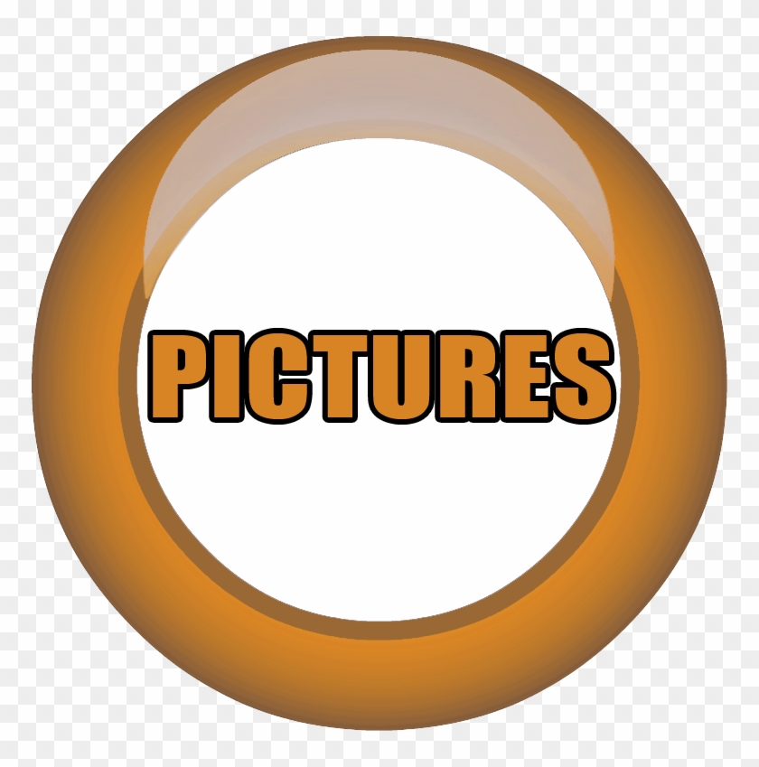 Picture - Circle - Free Transparent PNG Clipart Images Download