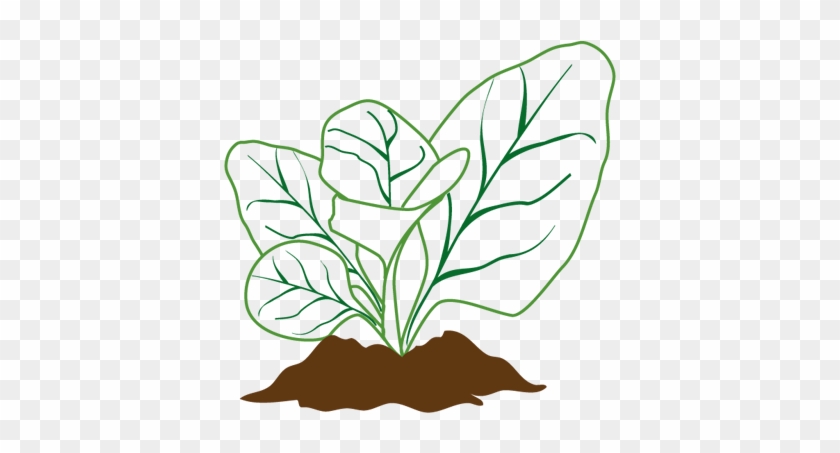Soil Health - Soil Health - Free Transparent PNG Clipart Images Download