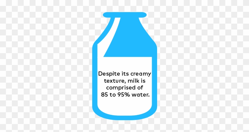 Fun Milk Facts - Fun Milk Facts - Free Transparent PNG Clipart Images ...
