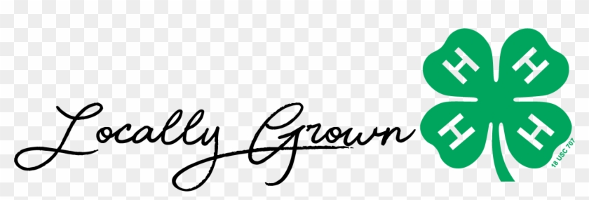 4 - 4 H Clover - Full Size PNG Clipart Images Download