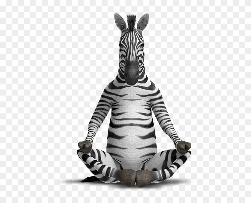 Zen Zebra - Zebras Don T Get Ulcers - Full Size PNG Clipart Images Download