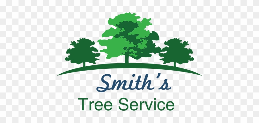 903 421 - Tree - Free Transparent PNG Clipart Images Download