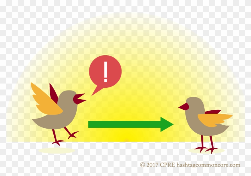 Reciprocity - Duck - Free Transparent PNG Clipart Images Download