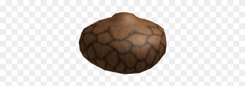 Acorn - Wikia - Free Transparent PNG Clipart Images Download