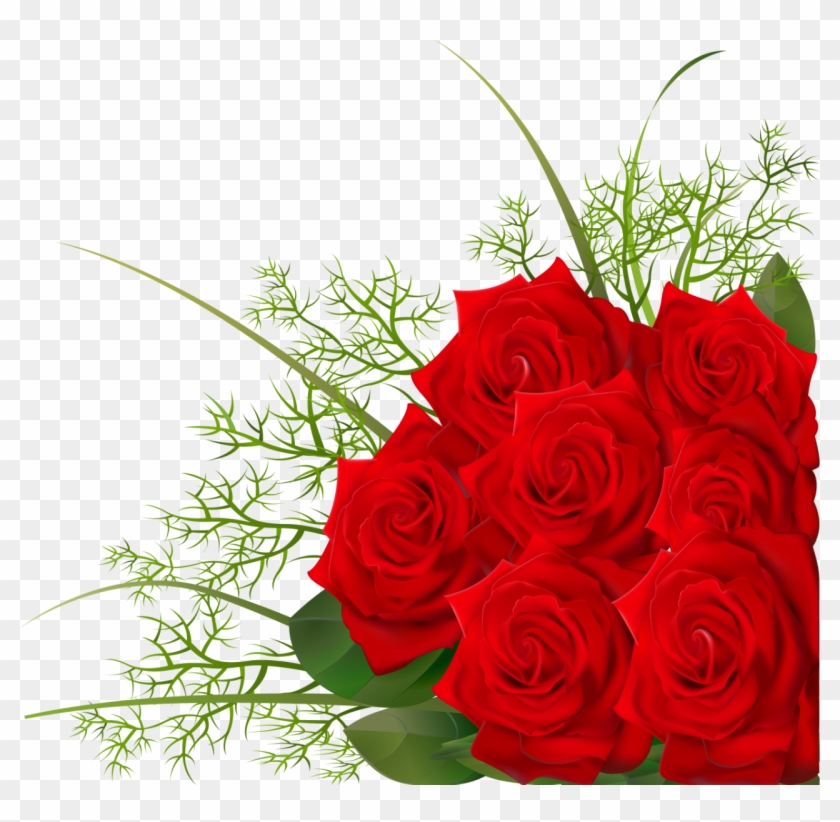 Garden Roses Flower Floral Design Petal - Garden Roses Flower Floral ...