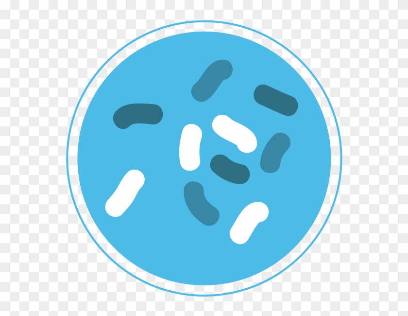 Bacterial Genome Sequencing - Bacteria Icon Png - Full Size PNG Clipart ...