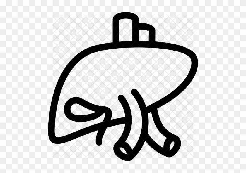 Liver Icon - Liver Icon - Full Size PNG Clipart Images Download