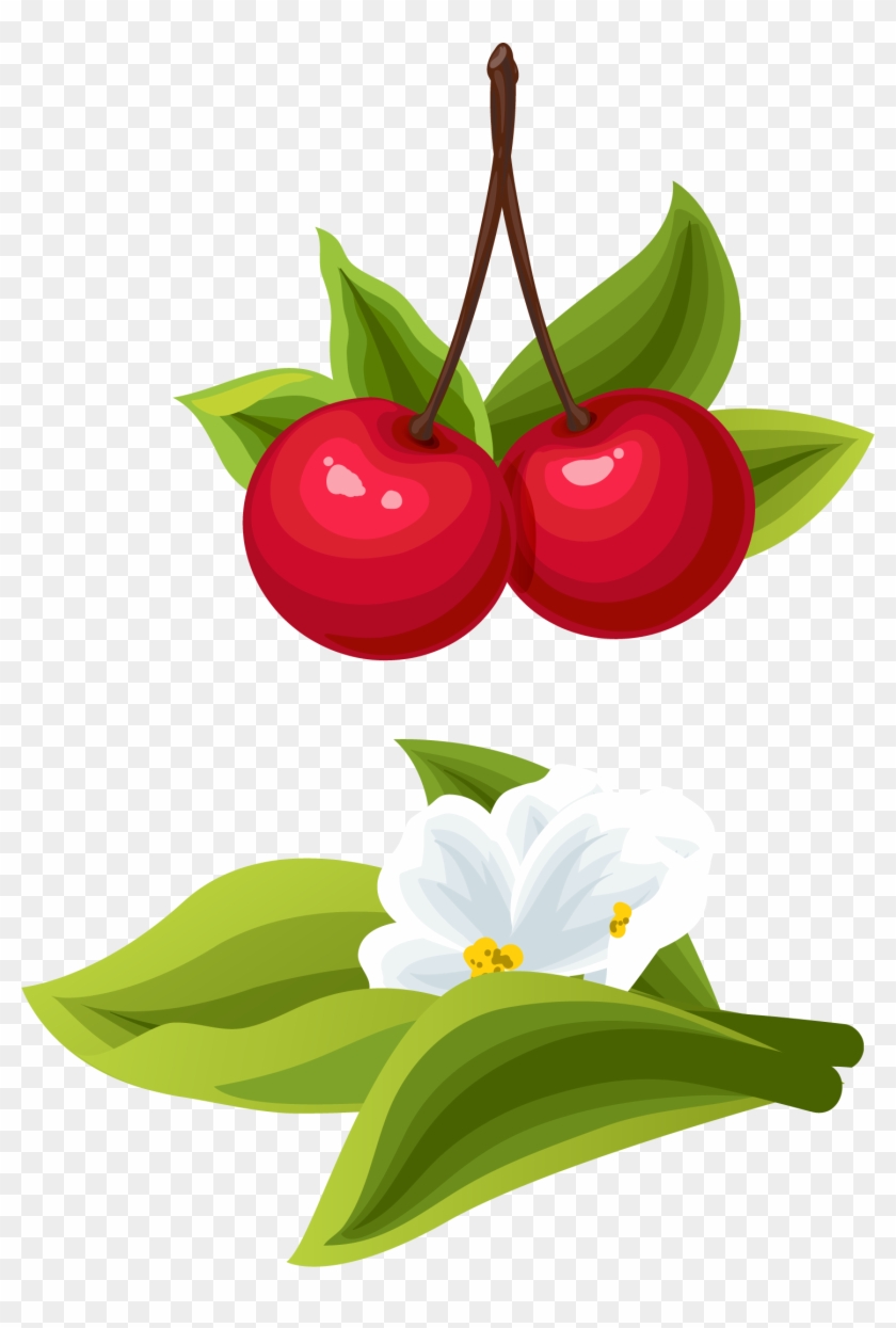 Cherry Cartoon Clip Art - Cherry Cartoon Clip Art - Free Transparent ...