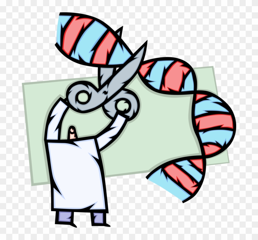 Vector Illustration Of Scientist Uses Genetic Engineering - Vector ...