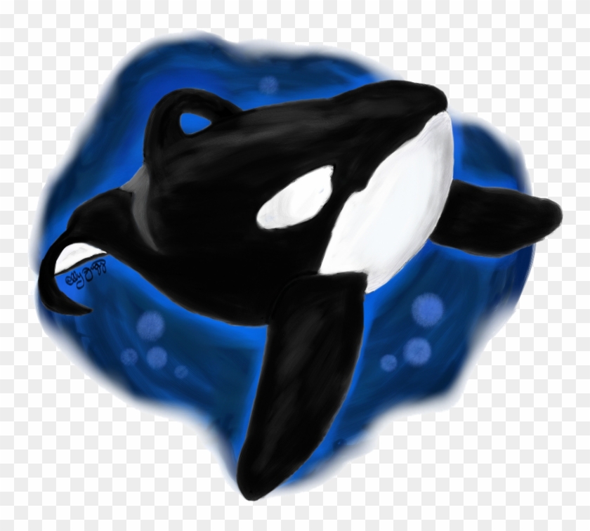 Seaworld Orlando Drawing Shamu Clip Art - Seaworld Orlando Drawing ...