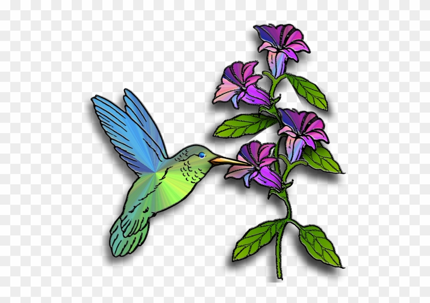 Hummingbird And Flower Clipart