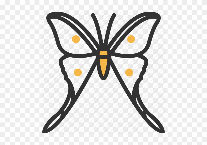 Papillon Clipart Bug - Icon - Full Size PNG Clipart Images Download