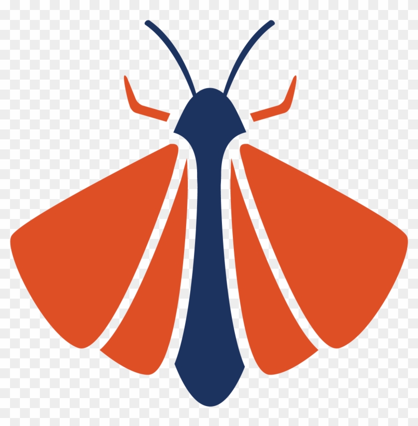 Fabric Moths - Moth - Full Size PNG Clipart Images Download