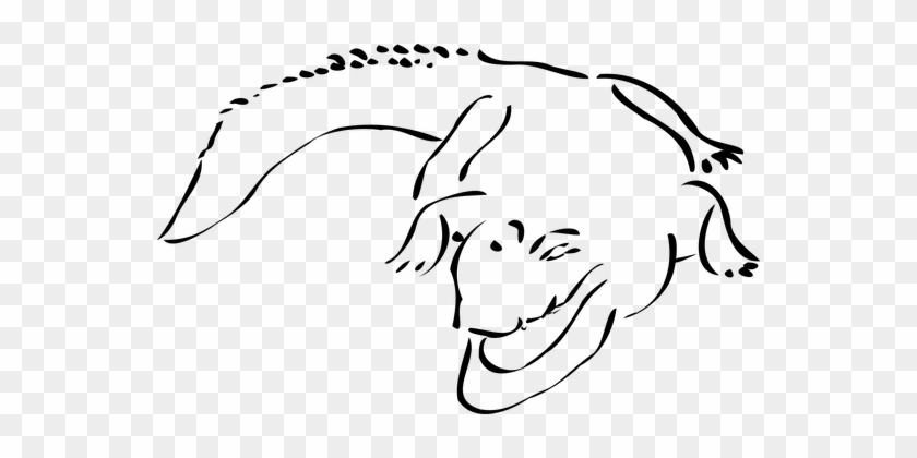 Alligator, Gator, Crocodile, Swamp - Clip Art - Full Size PNG Clipart ...