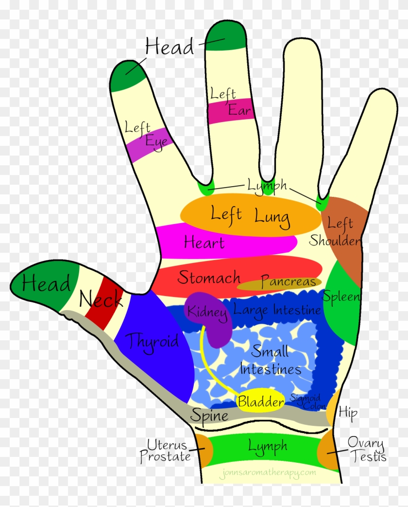Left Hand - Colour Therapy On Hands - Full Size PNG Clipart Images Download