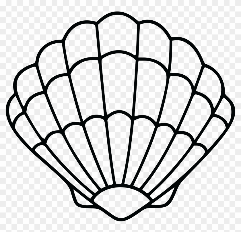 Free Clipart Of A Scallop Sea Shell - Sea Shell Clip Art - Full Size ...