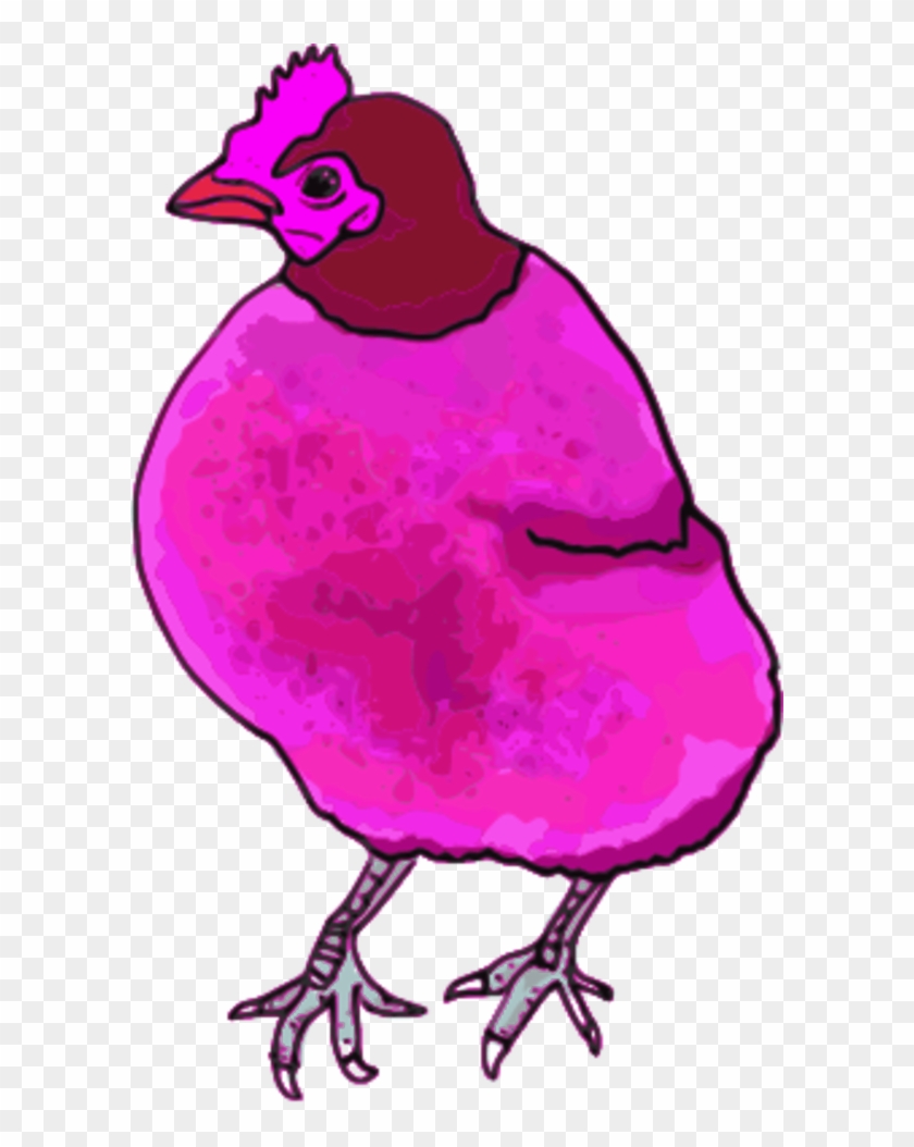 Chicken Hen Vector Clip Art Image - Red Hen Shower Curtain - Full Size ...
