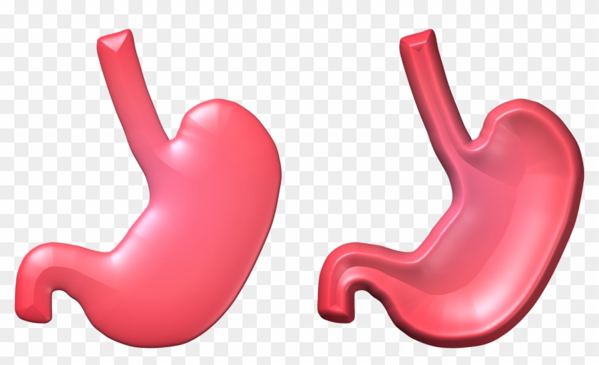 Get Rid Of Digestive Problems - Estomago Png - Free Transparent PNG ...