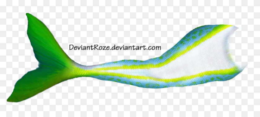 More Like Mermaid Tail 11 By Deviantroze - Photoshop Mermaids Fish Tail ...