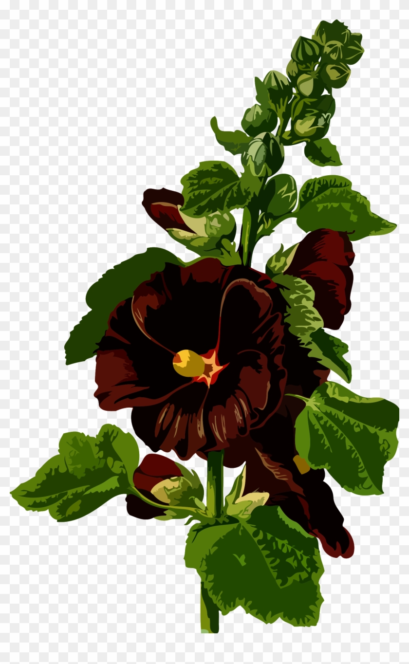 Big Image - Malva Sylvestris - Free Transparent PNG Clipart Images Download