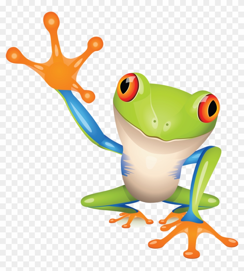 Tree Frog Cartoon - Full Size PNG Clipart Images Download