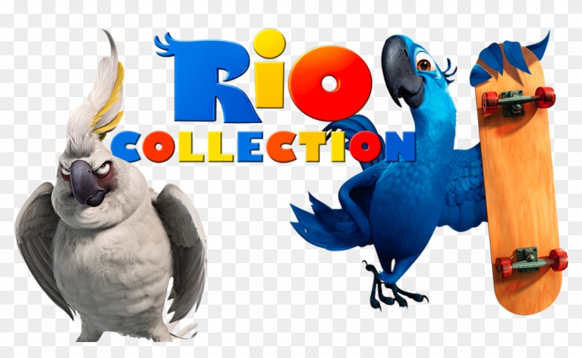 Rio Collection Image - Jawaharlal Nehru Architecture And Fine Arts ...