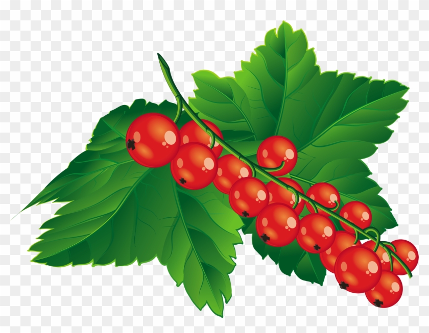 Blueberry Raspberry Clip Art - Blueberry Raspberry Clip Art - Full Size ...