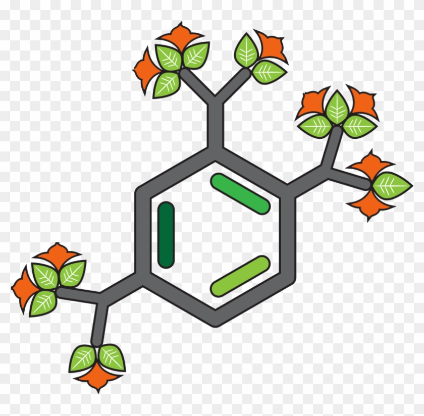 Rap#flower-molecule - Icon - Free Transparent PNG Clipart Images Download