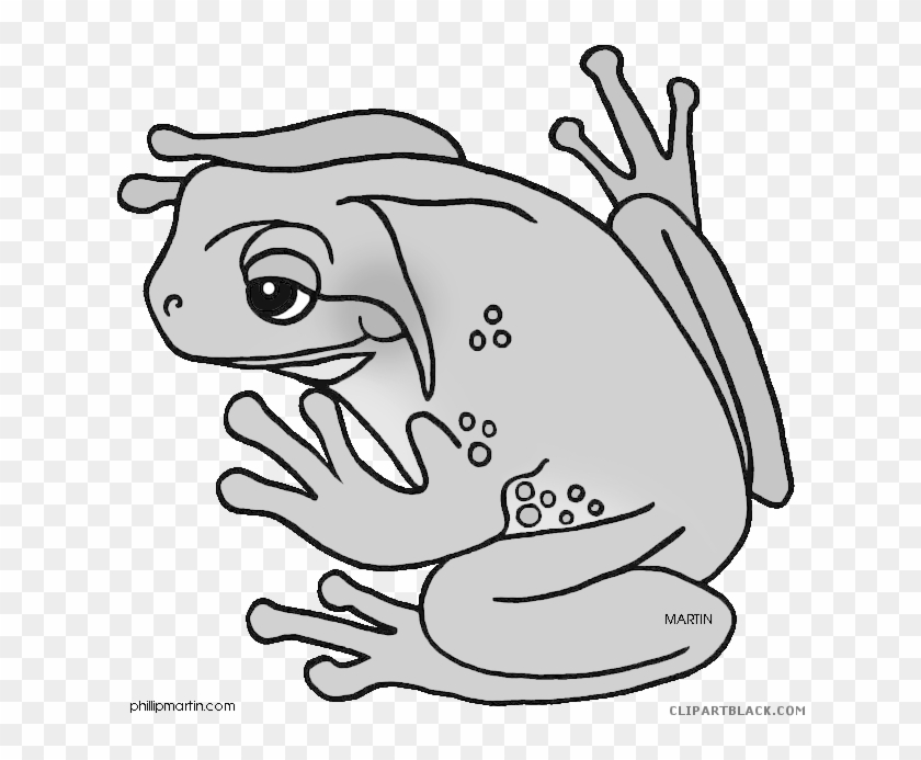 Grayscale Frog Animal Free Black White Clipart Images - Frog - Full ...