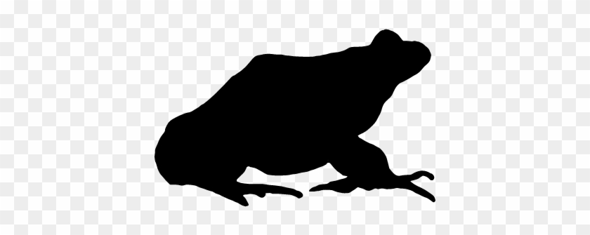 Frog Shape Vector - Frog Silhouette No Background - Full Size PNG ...