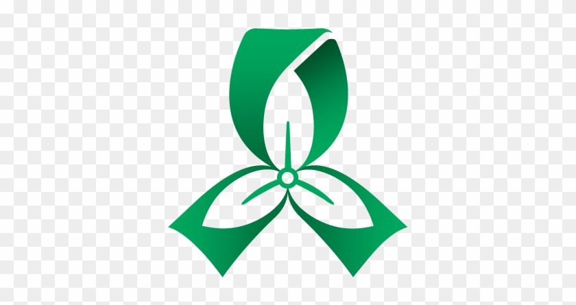 Trilliumgiftoflife - Trillium Gift Of Life Network - Full Size PNG ...