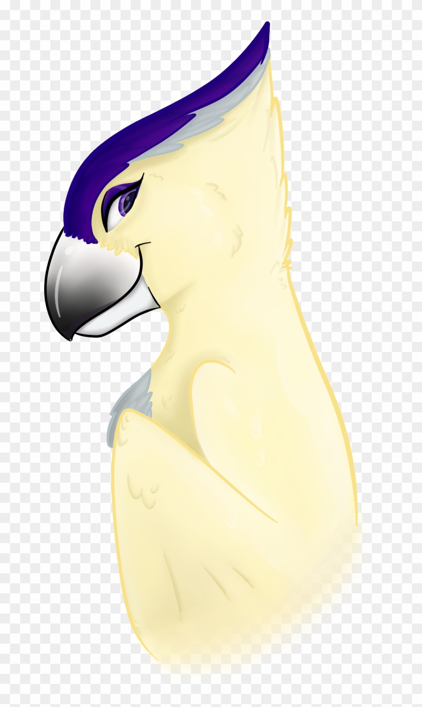 Trophy Count - - Bald Eagle - Full Size PNG Clipart Images Download