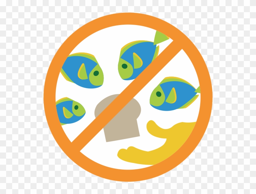 Don't Feed Fish - Don T Feed The Fish Sign - Full Size PNG Clipart ...