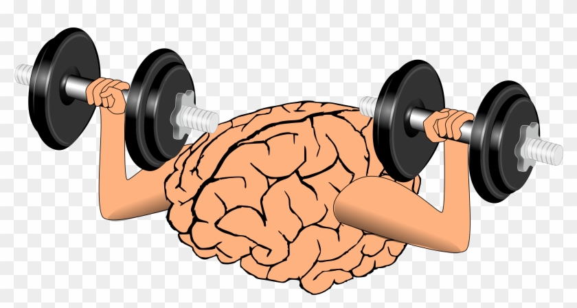 Brain Training Clip Art - Brain Training Png - Full Size PNG Clipart ...
