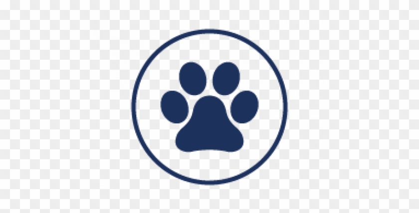 Dog - Free Transparent PNG Clipart Images Download