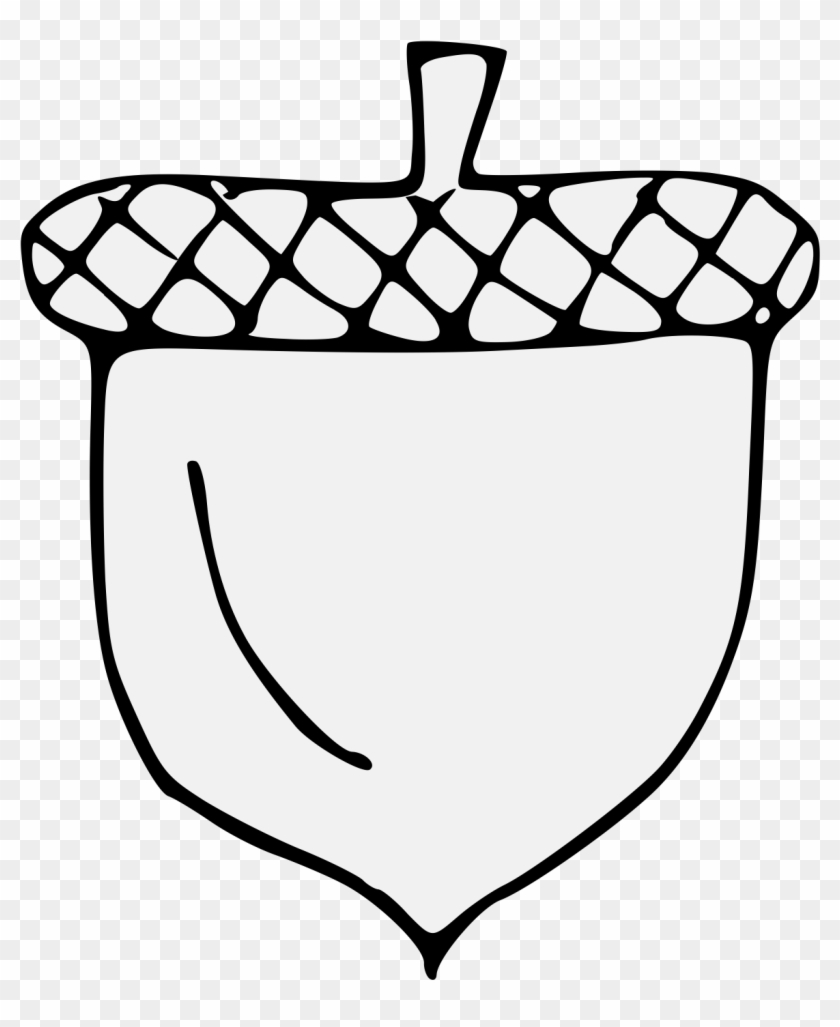 Acorn - Line Art - Full Size PNG Clipart Images Download