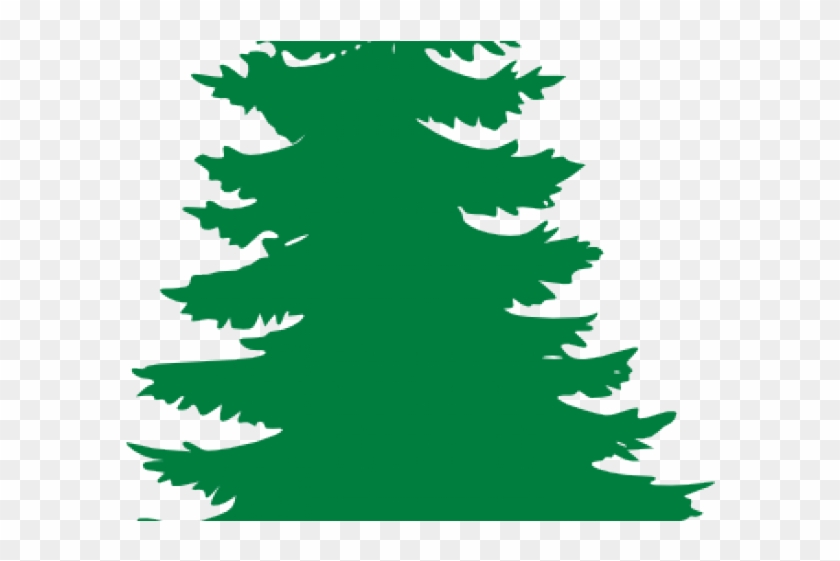 Pine Tree Clipart Oregon Tree - Evergreen Tree Clipart - Full Size PNG ...