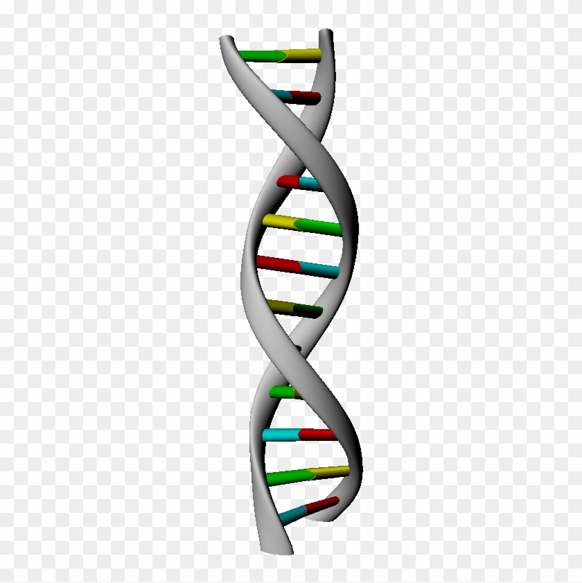 3d Dna Strand Rendering - Headband - Full Size PNG Clipart Images Download