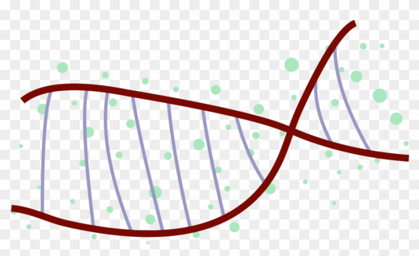 Dna Vector By Lekadema - Circle - Full Size PNG Clipart Images Download