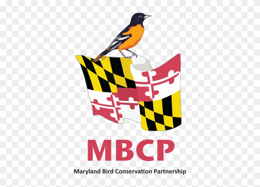 Bcp Logo 170px - Bcp Logo 170px - Free Transparent PNG Clipart Images ...