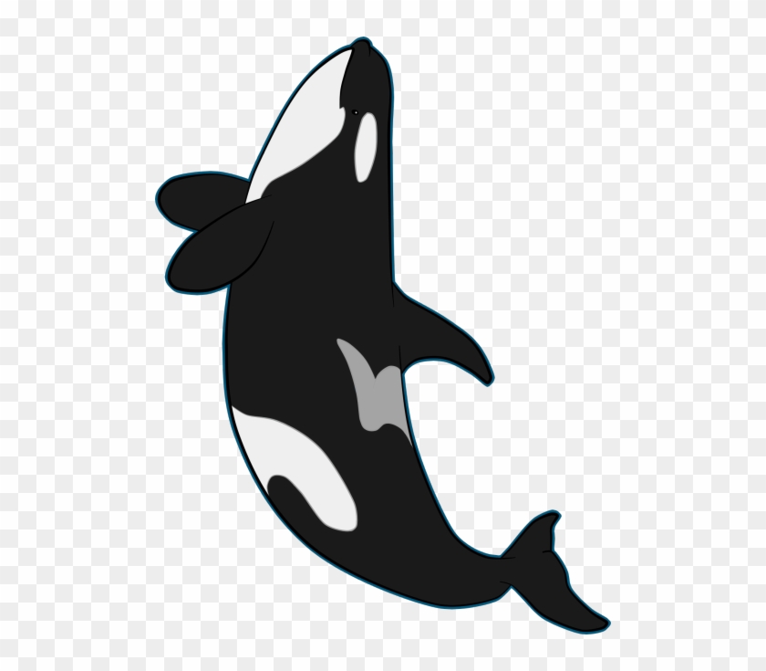 Orca Doodle 3 By Oceanorca - Killer Whale - Full Size PNG Clipart ...
