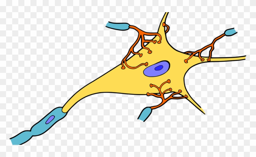 Nerves - Nerves - Free Transparent PNG Clipart Images Download