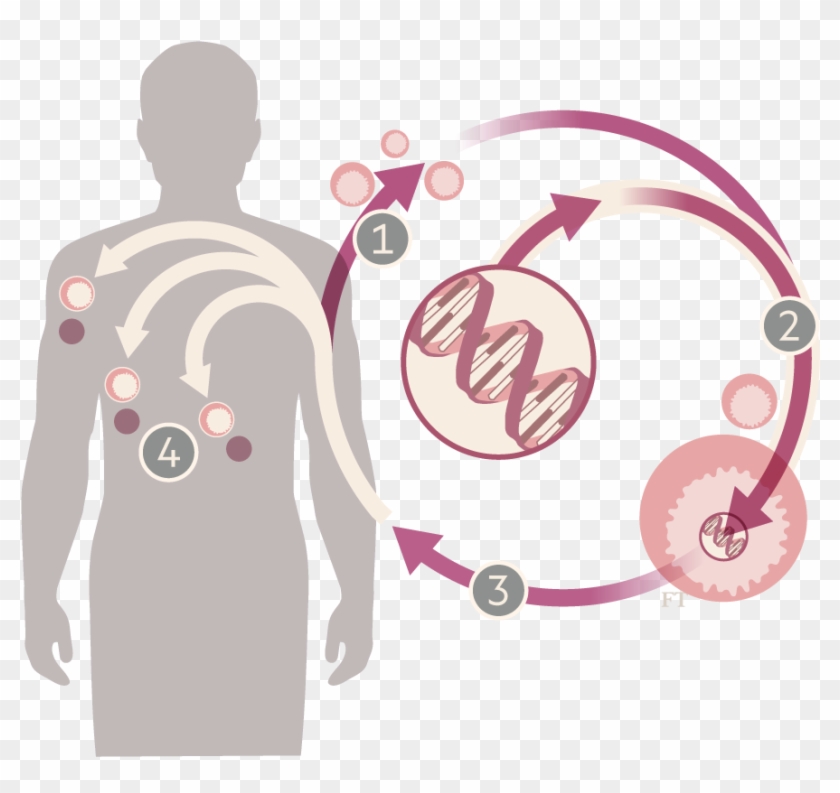 Screenshot - Free Transparent PNG Clipart Images Download