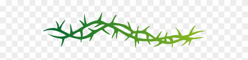 Free Vector Spine - Vine Of Thorns Drawing - Full Size PNG Clipart ...