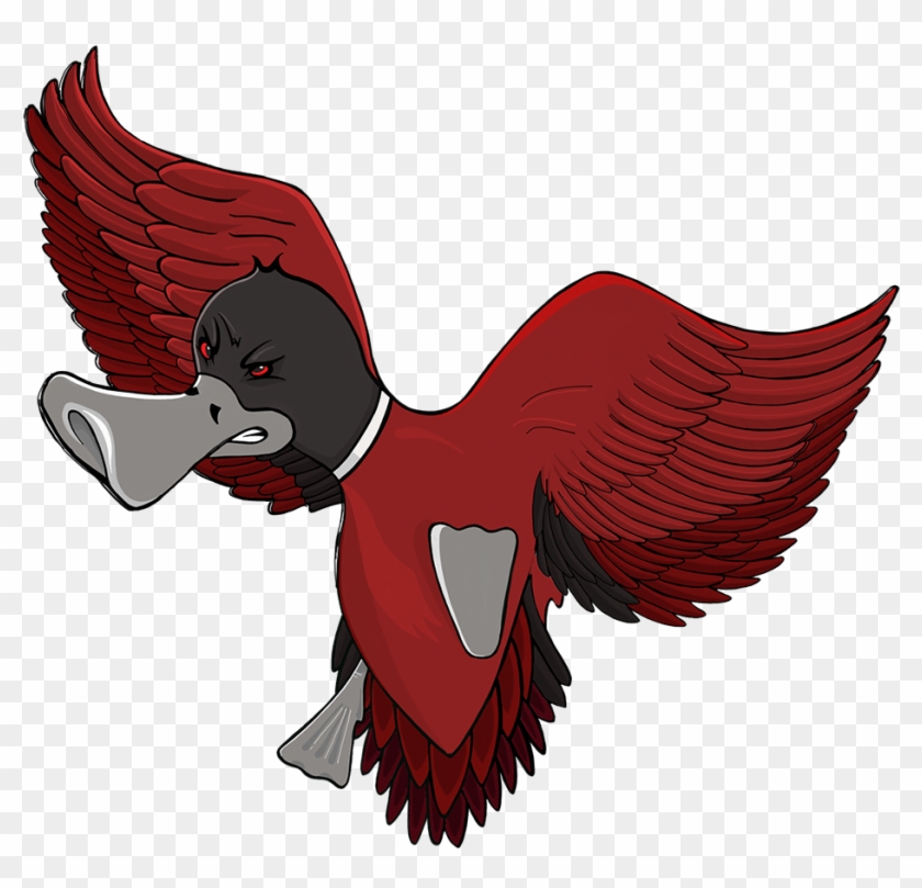 Blue Winged Teal - Free Transparent PNG Clipart Images Download