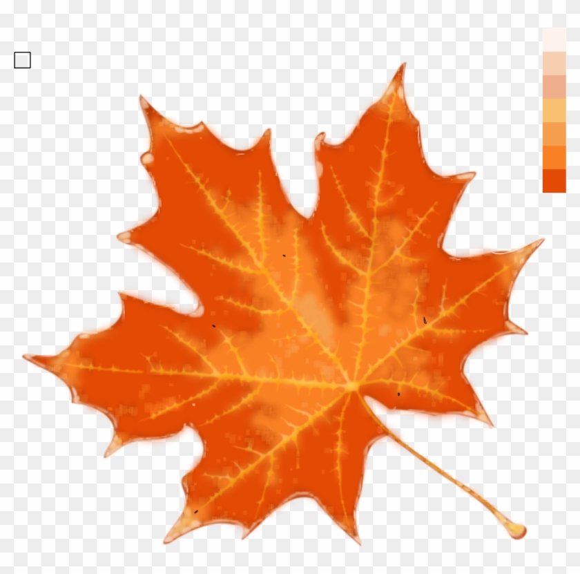 Png Images 70000 Transparent Free Pngs - Celtic Lightning: How The ...