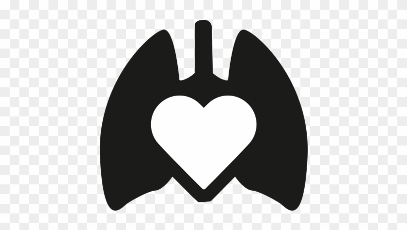 Sleep Tracker Heart And Respiration Rates Emfit Qs - Atemfrequenz ...