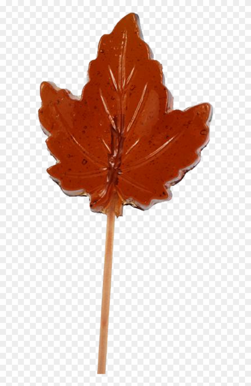 Maple Leaf Lollipop - Lollipop - Free Transparent PNG Clipart Images ...